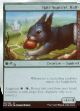 Half-Squirrel Half- | UNSTABLE Visual Spoiler